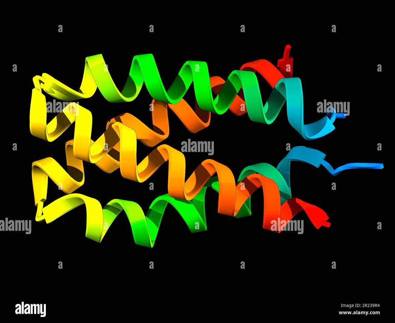 Rabies virus P3 dimerization domain, molecular model Stock Photo - Alamy