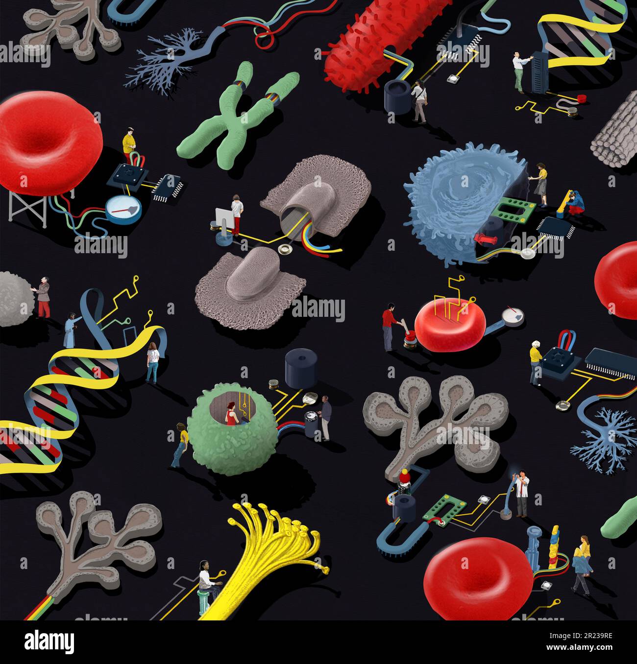 Biotechnology, conceptual illustration Stock Photo - Alamy