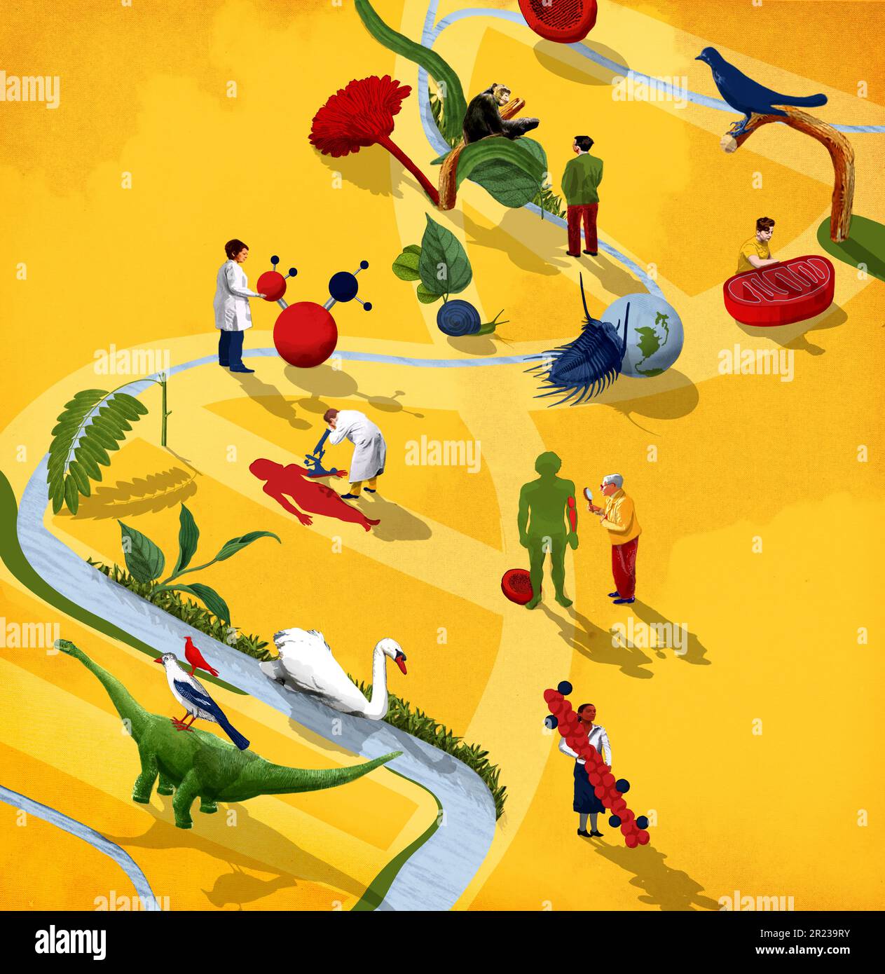 Biochemistry pathway, conceptual illustration Stock Photo - Alamy