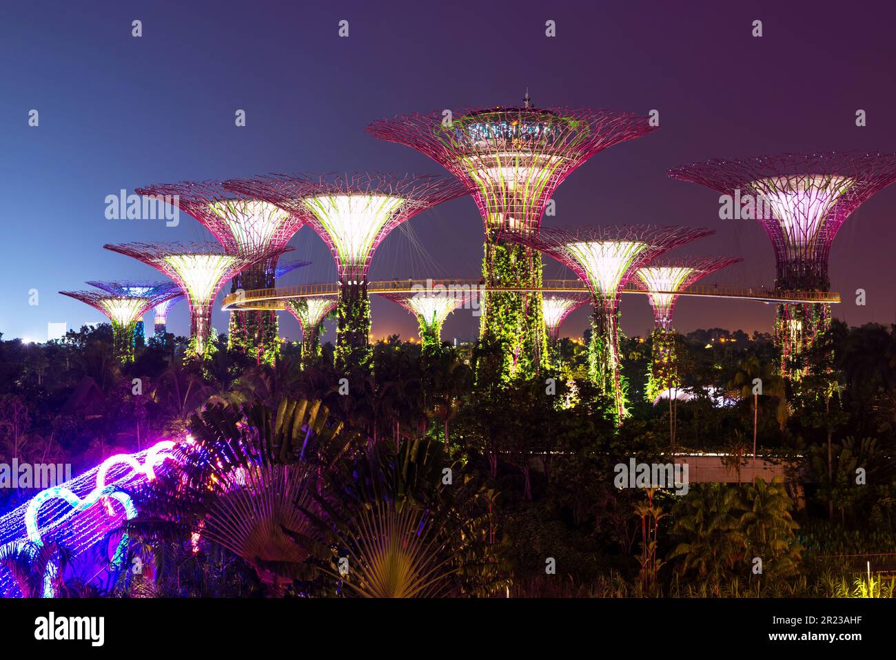SINGAPORE-SEP 04: Night view of The Supertree Grove at Gardens by the ...