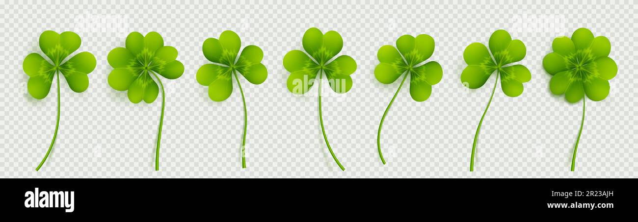 Realistic 3D clover leaves set isolated on transparent background ...