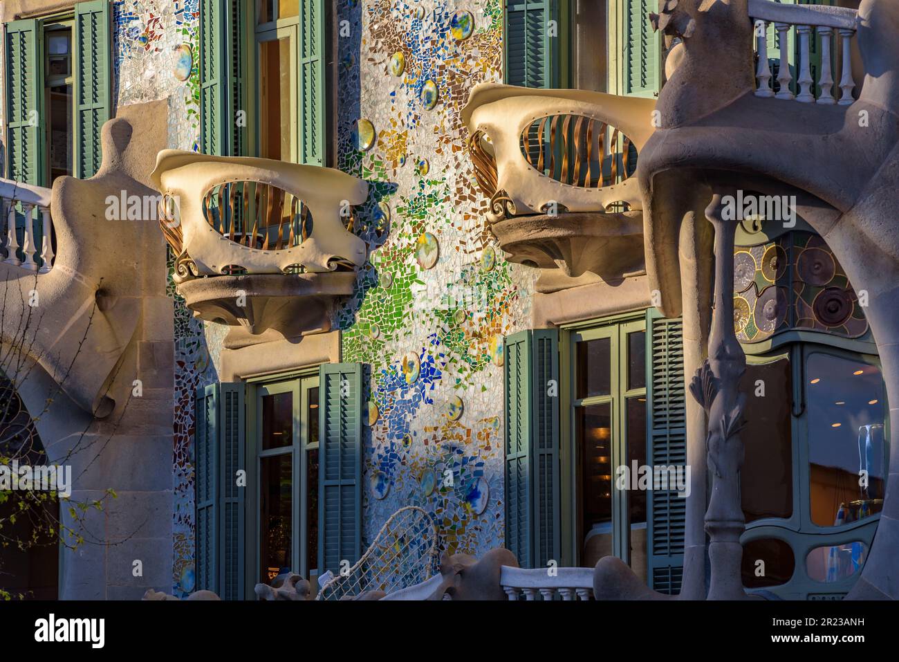 Owl skull hi-res stock photography and images - Alamy