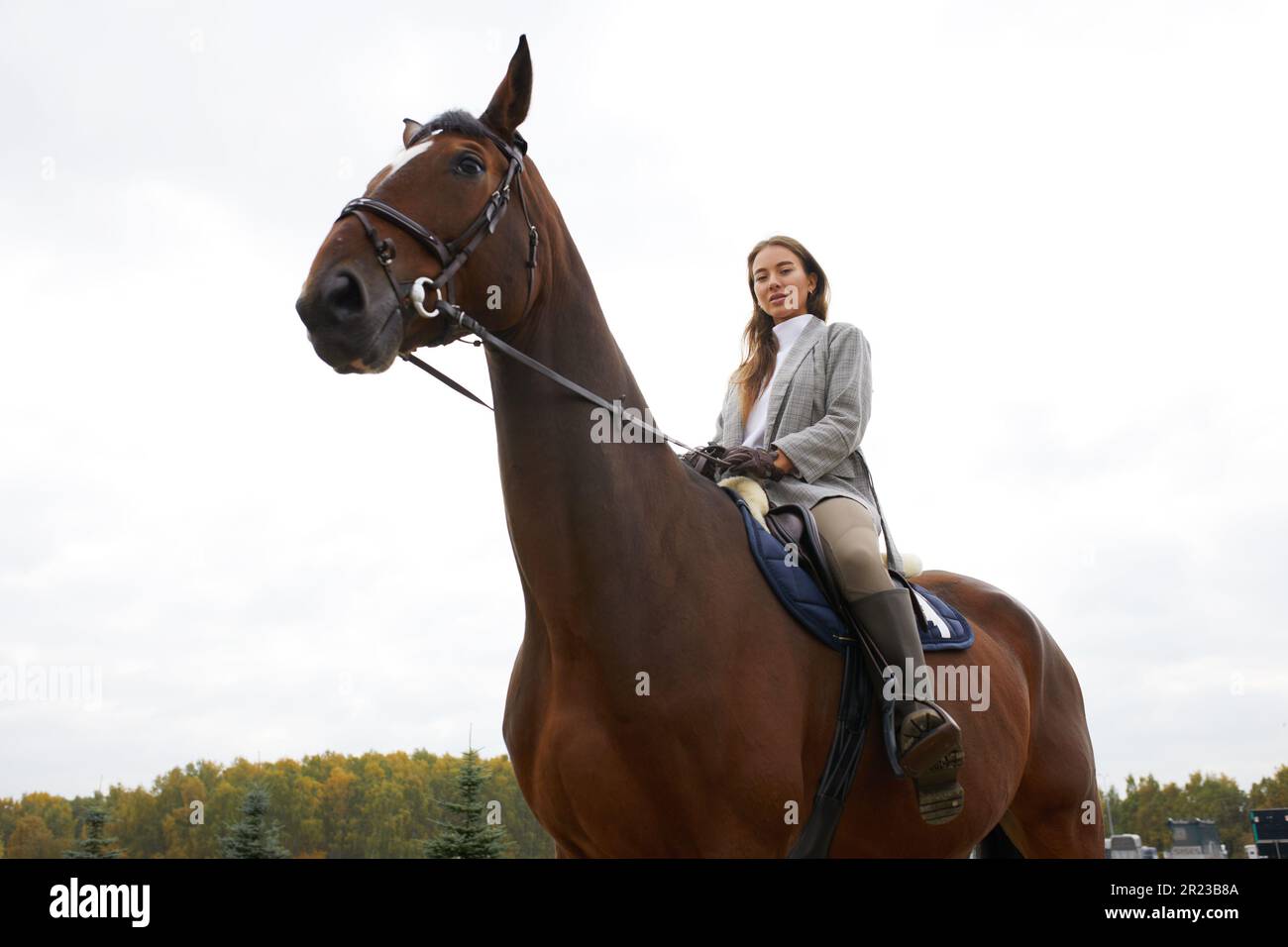 Beautiful young woman riding a horse on the field. Sideways to the ...