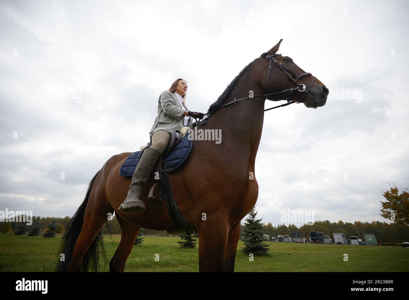 Beautiful young woman riding a horse on the field. Sideways to the ...