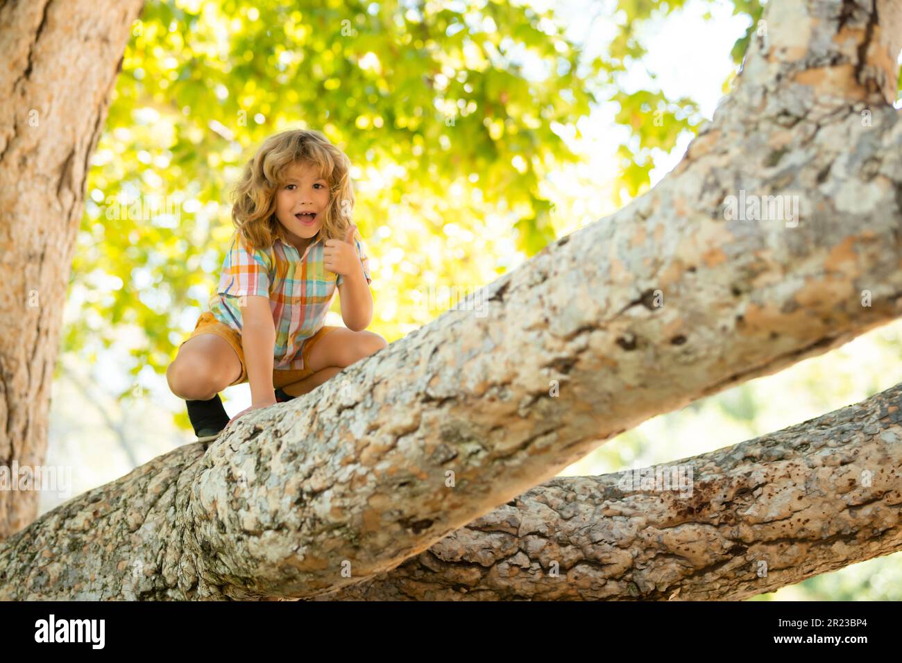 Kid boy playing and climbing a tree and hanging branch Stock Photo - Alamy