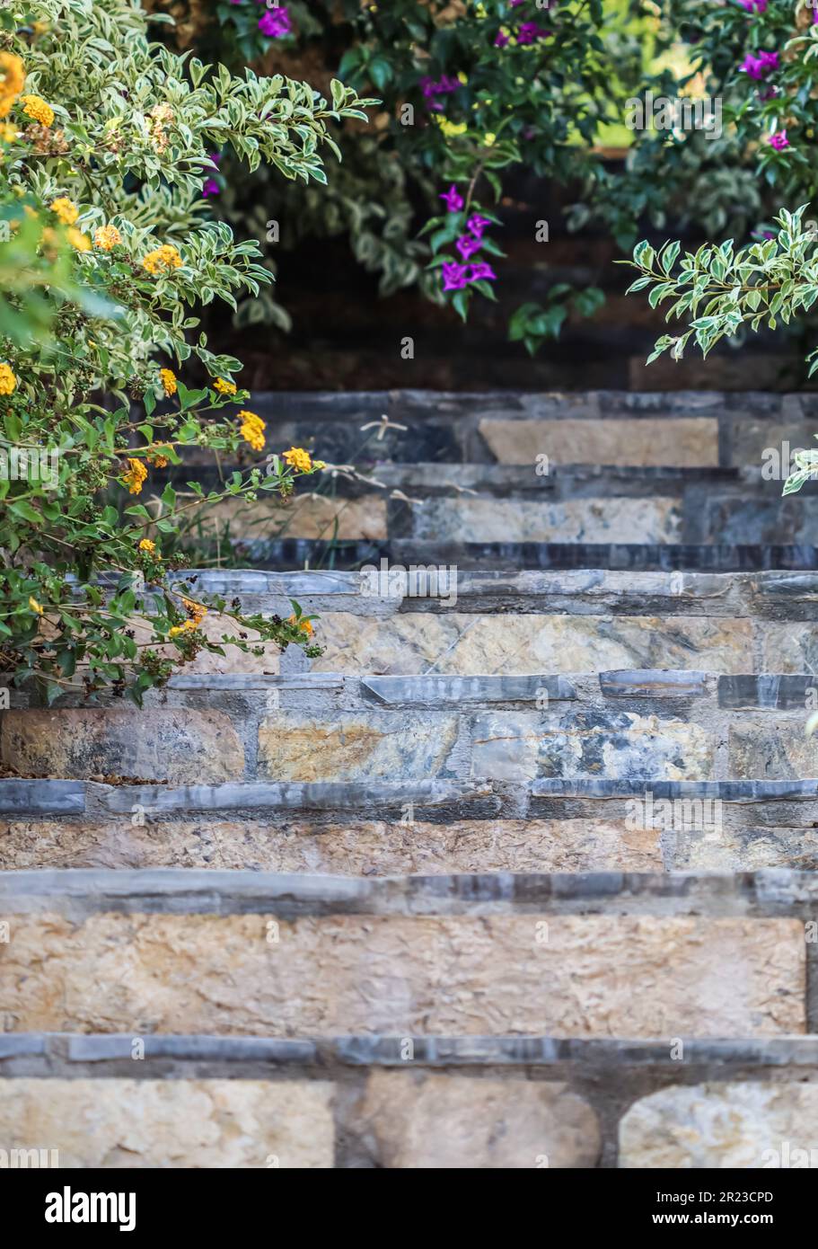 Natural stone stairs landscaping in the garden. High quality photo ...