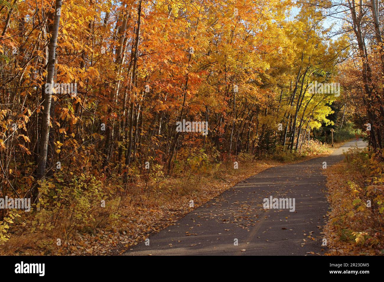 A serene Autumn scene Stock Photo - Alamy