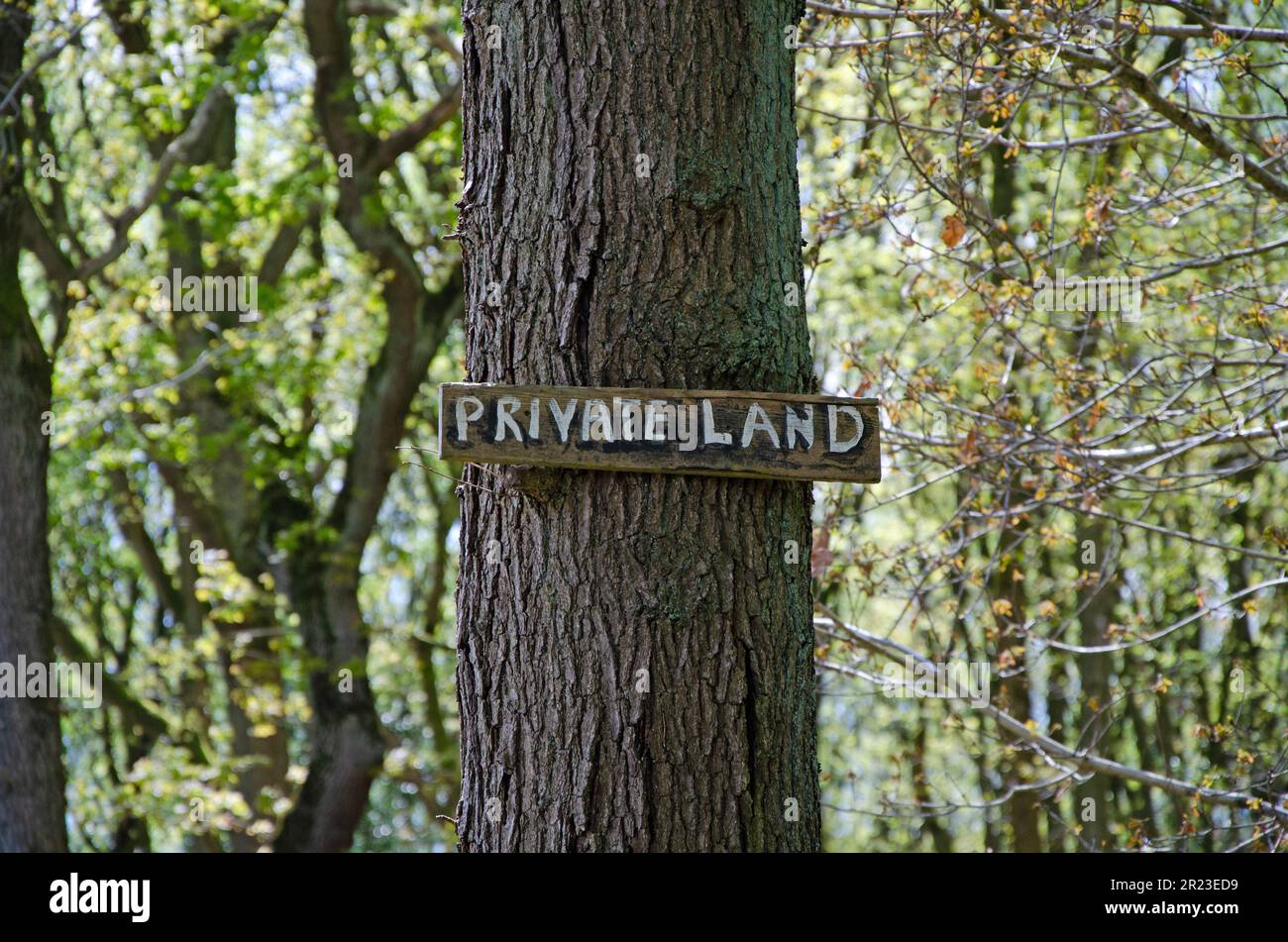 Private land hand painted sign mounted on a tree trunk, forest back ...