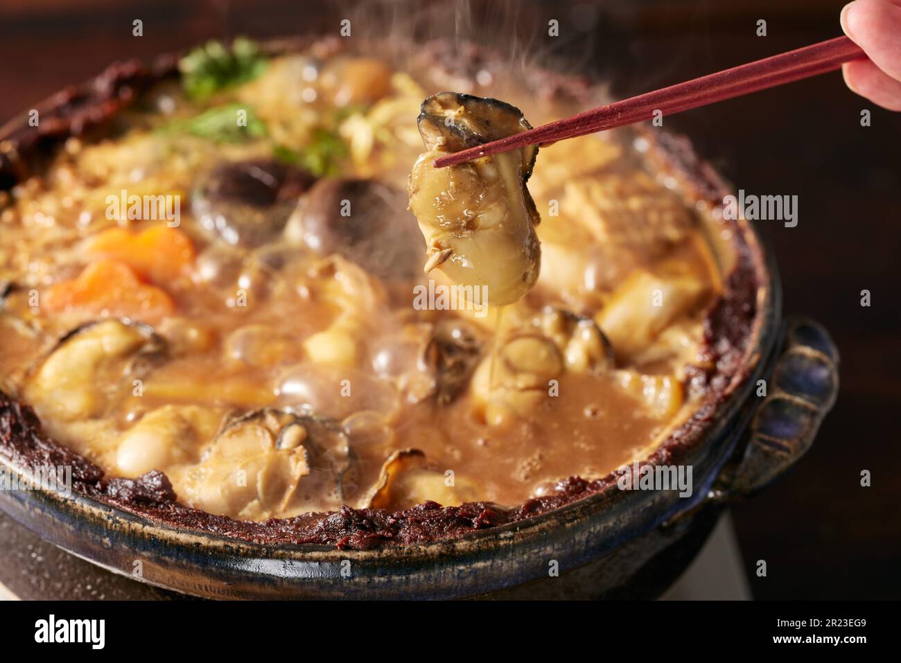 Japanese style stew Stock Photo - Alamy