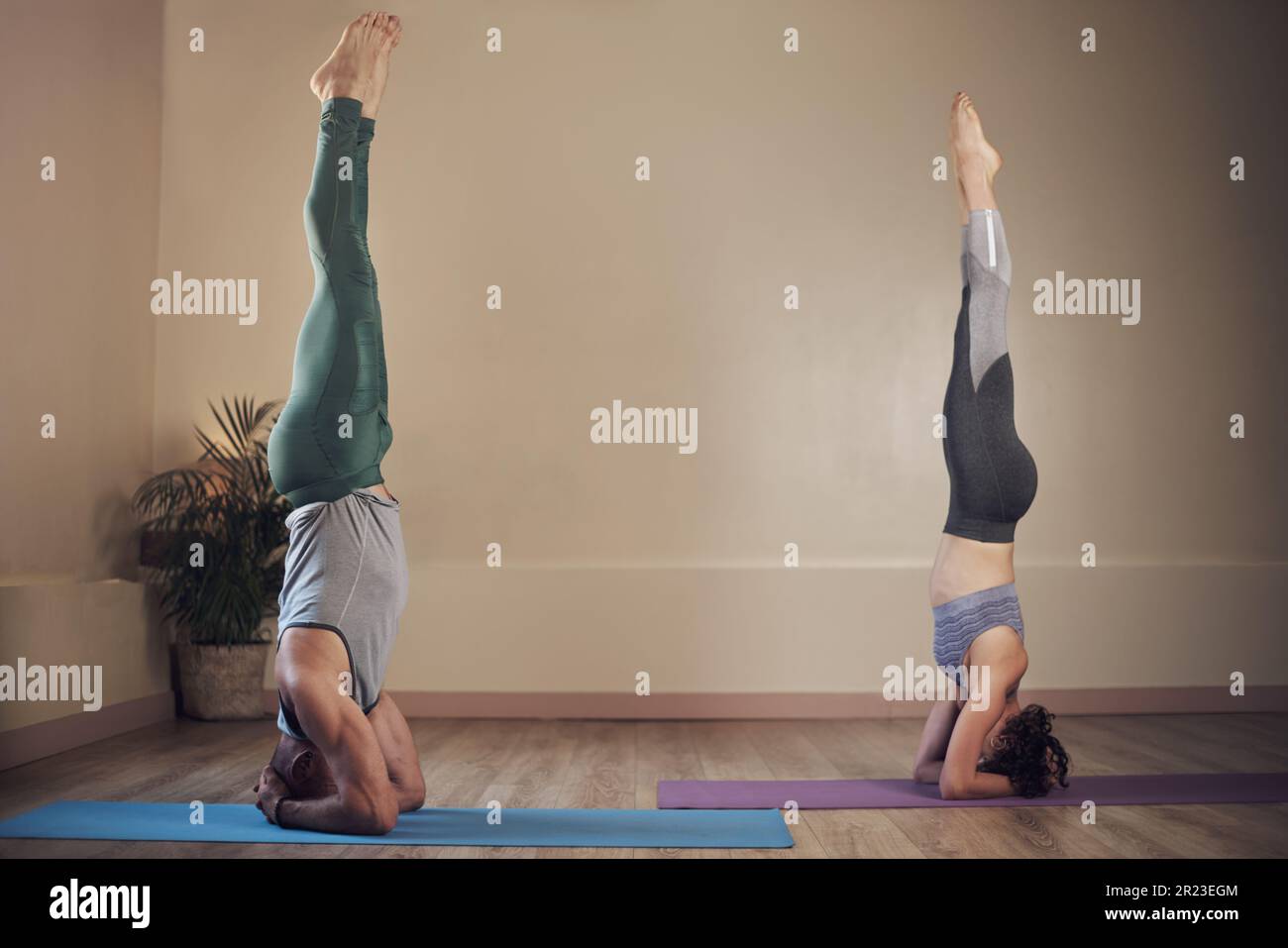 This is what fitness looks like. Full length shot of two unrecognizable ...