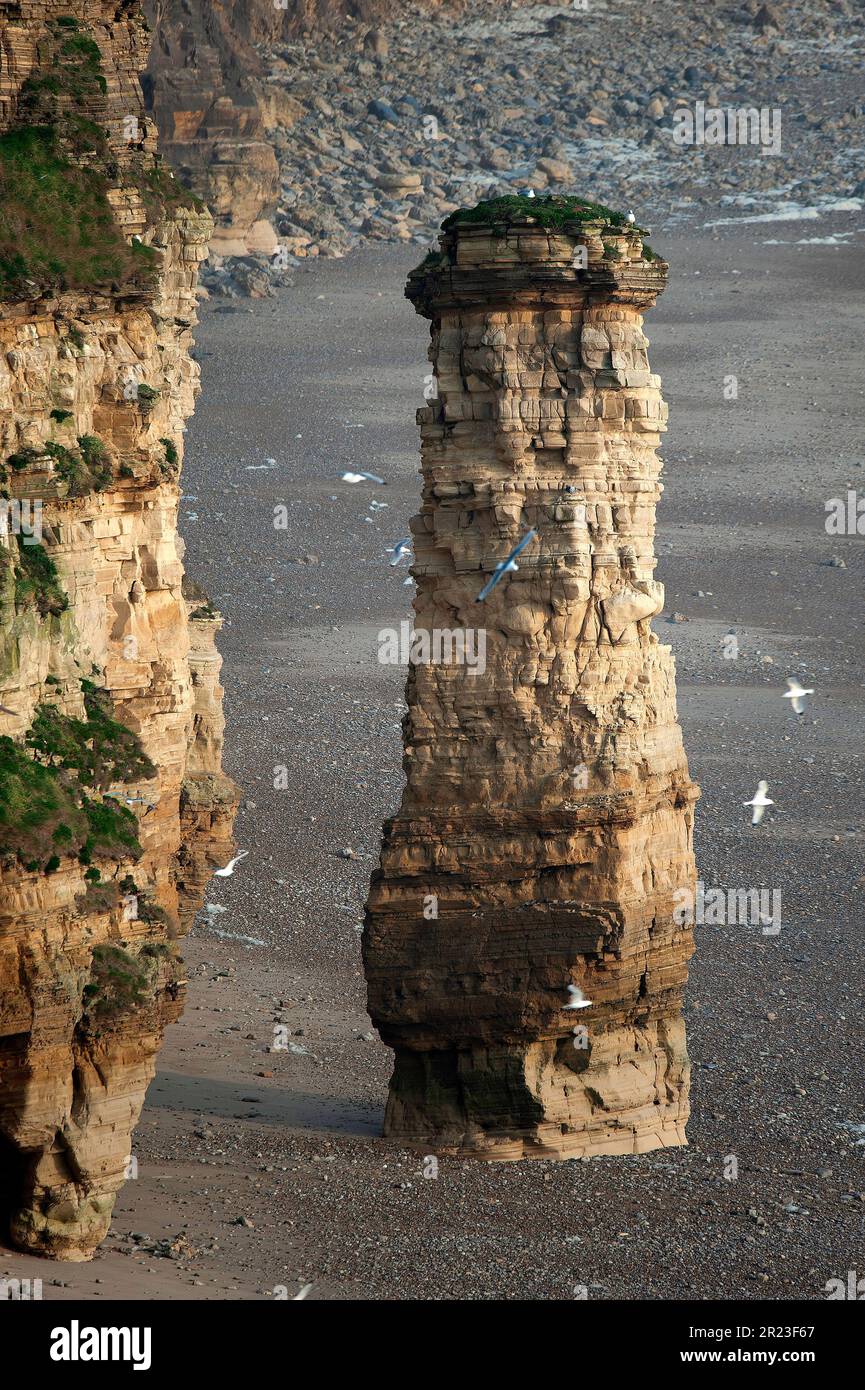 Lots wife stack / Marsden bay / The Leas, South Shields Stock Photo - Alamy