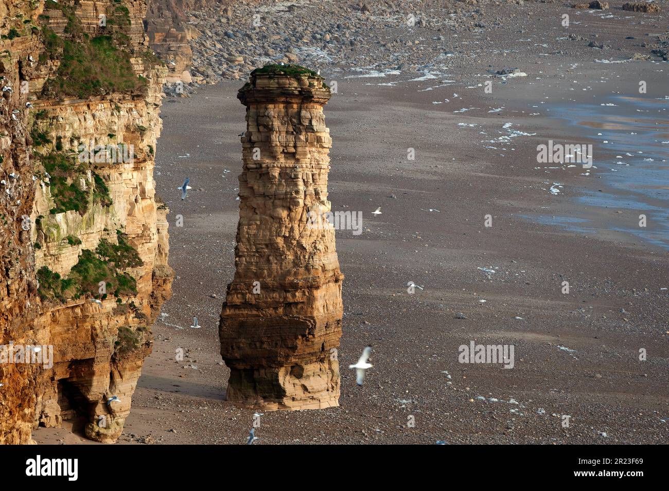 Lots wife stack / Marsden bay / The Leas, South Shields Stock Photo - Alamy