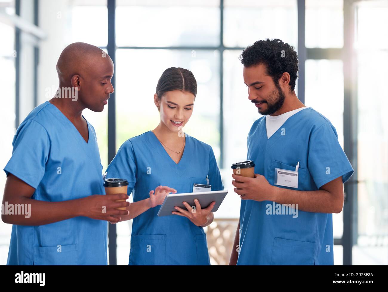 Having a look at todays schedule together. a group of focused young ...