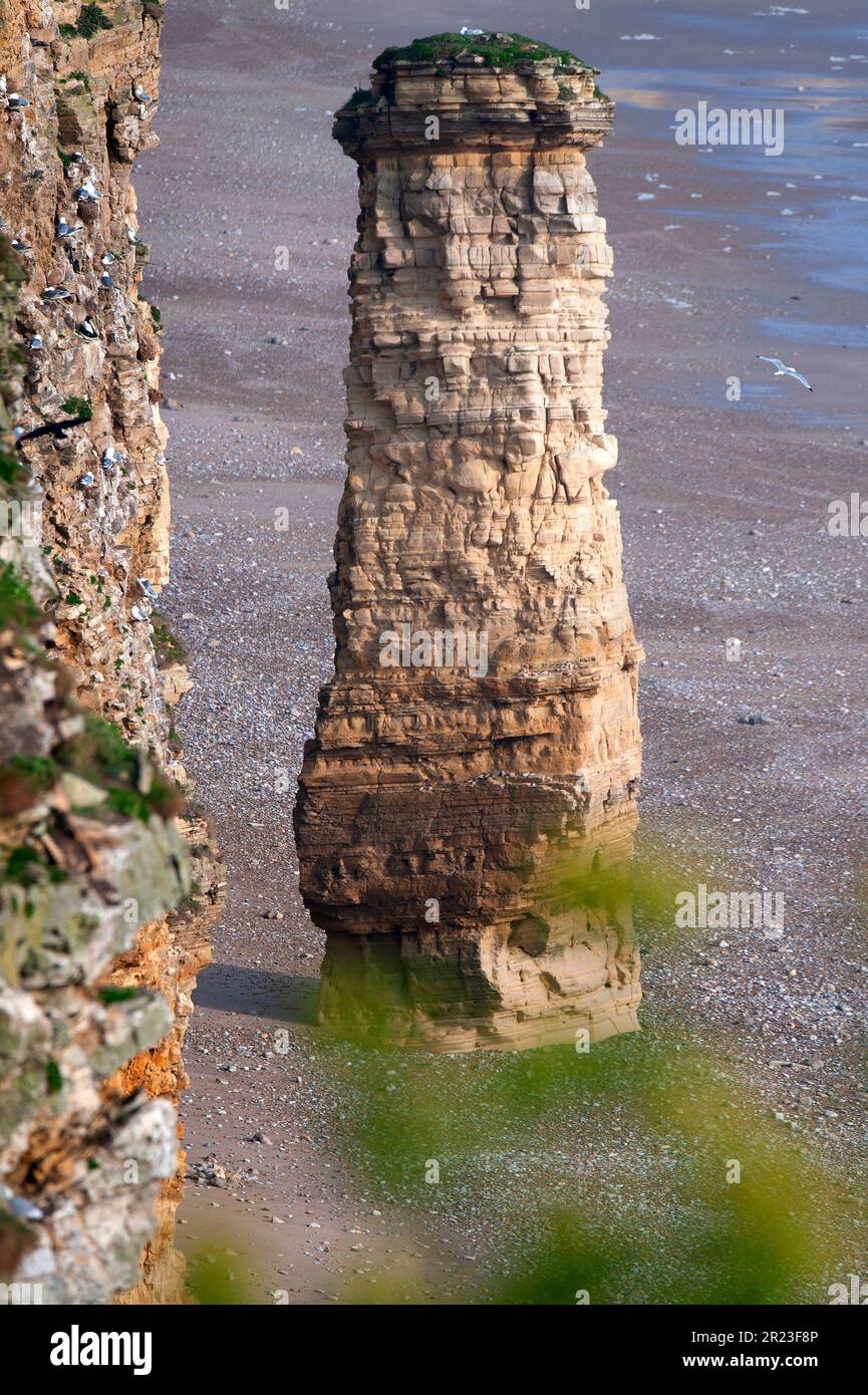 Lots wife stack / Marsden bay / The Leas, South Shields Stock Photo - Alamy