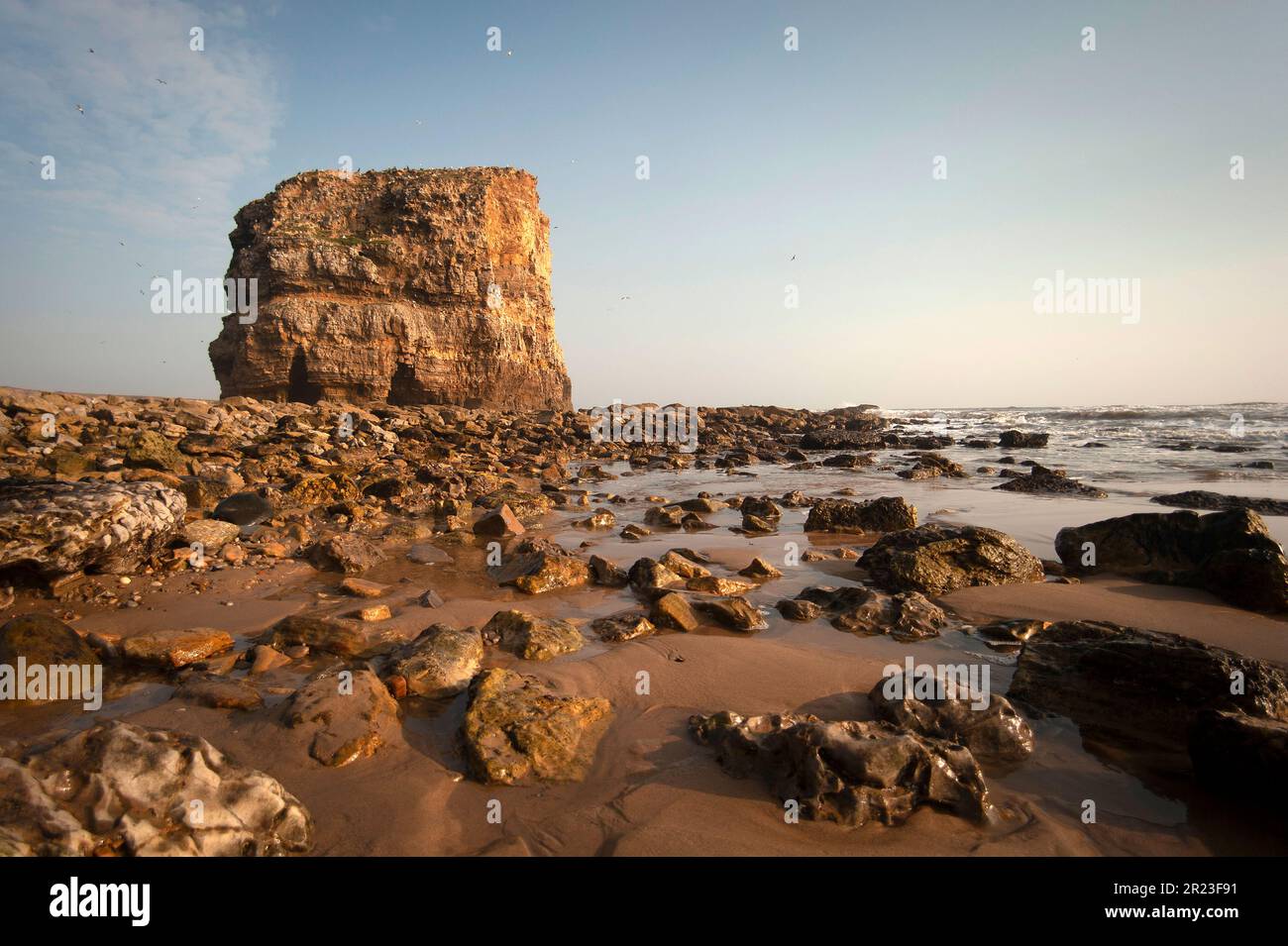 Marsden Rock at sunrise Stock Photo - Alamy