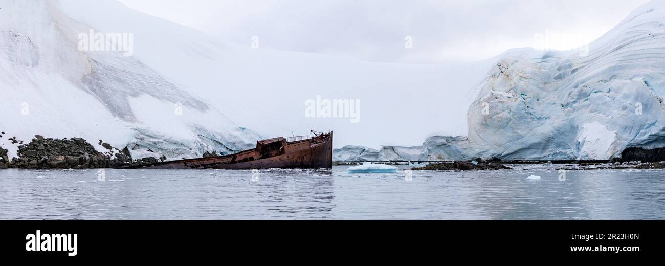 The Governoren, and old whaling vessel in Wilhelmina Bay, Antarctica ...