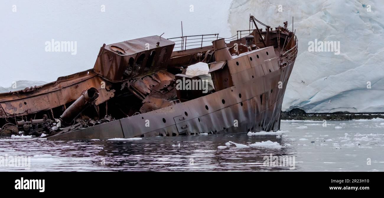 The Governoren, and old whaling vessel in Wilhelmina Bay, Antarctica ...