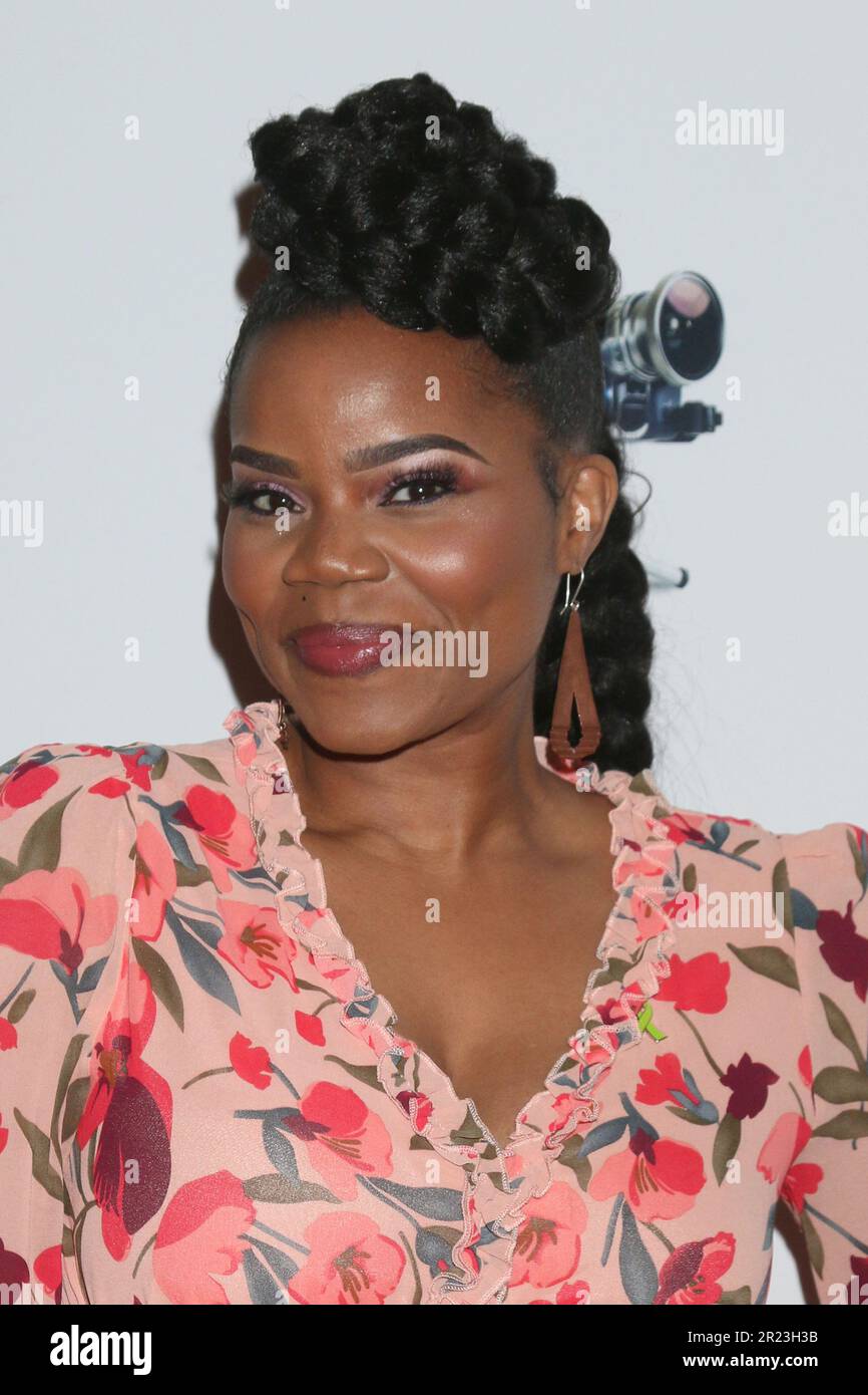 LOS ANGELES - MAY 16: Kelly Jenrette at the Directing Change Eleventh ...