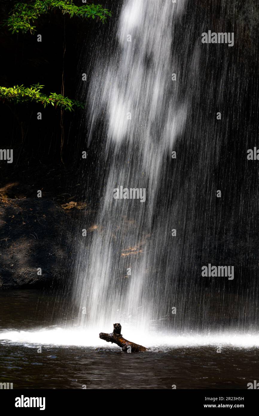 Long speed shutter technique of splashing waterfall drop on pond with ...