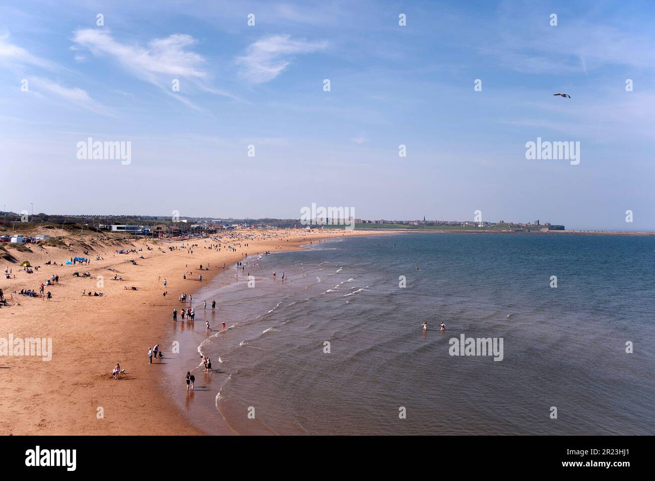 Summer crowds on Sandhaven Beach, South Shields Stock Photo - Alamy