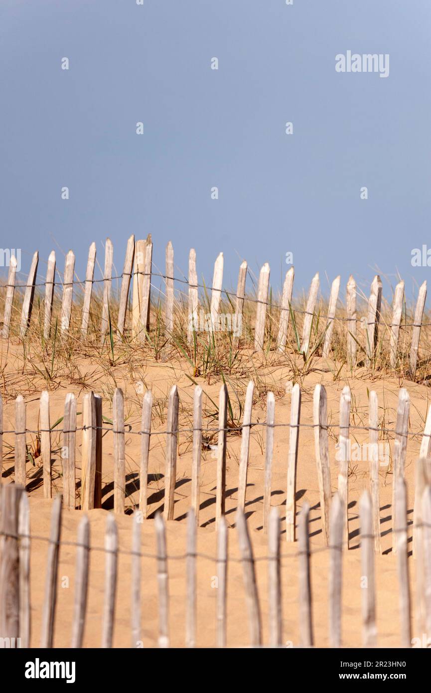 Sand trap fencing on Sandhaven Beach, South Shields Stock Photo - Alamy