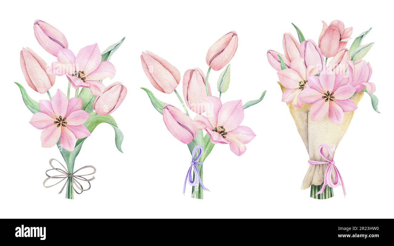 Dutch tulip drawing hi-res stock photography and images - Alamy
