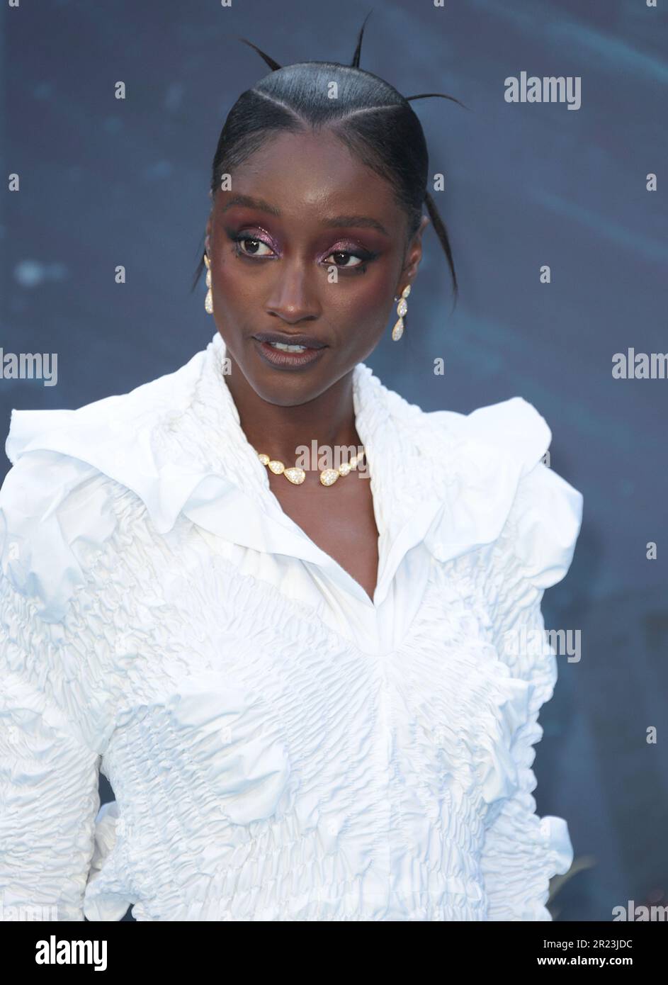 Sienna king hi-res stock photography and images - Alamy