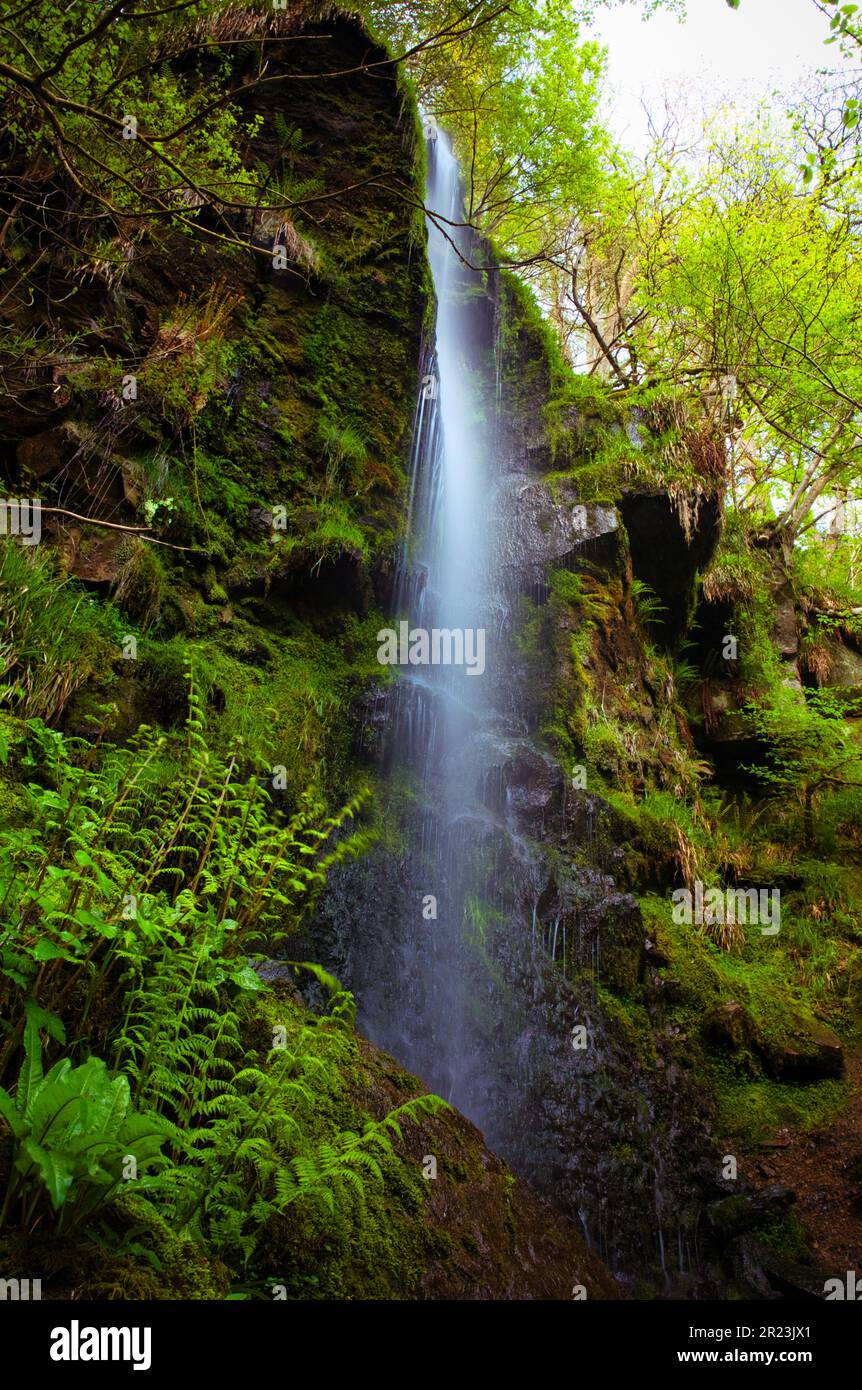 Mallyan Spout Waterfall Stock Photo - Alamy