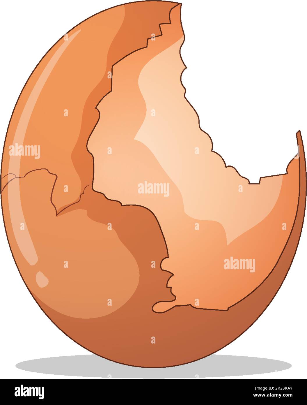 Isolated egg hatched cartoon illustration Stock Vector Image & Art - Alamy