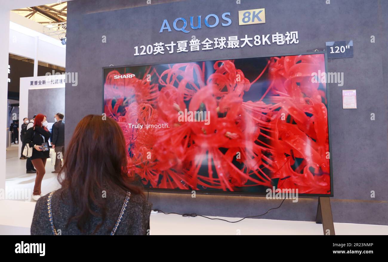 SHANGHAI, CHINA - APRIL 27, 2023 - Visitors look at the world's largest ...