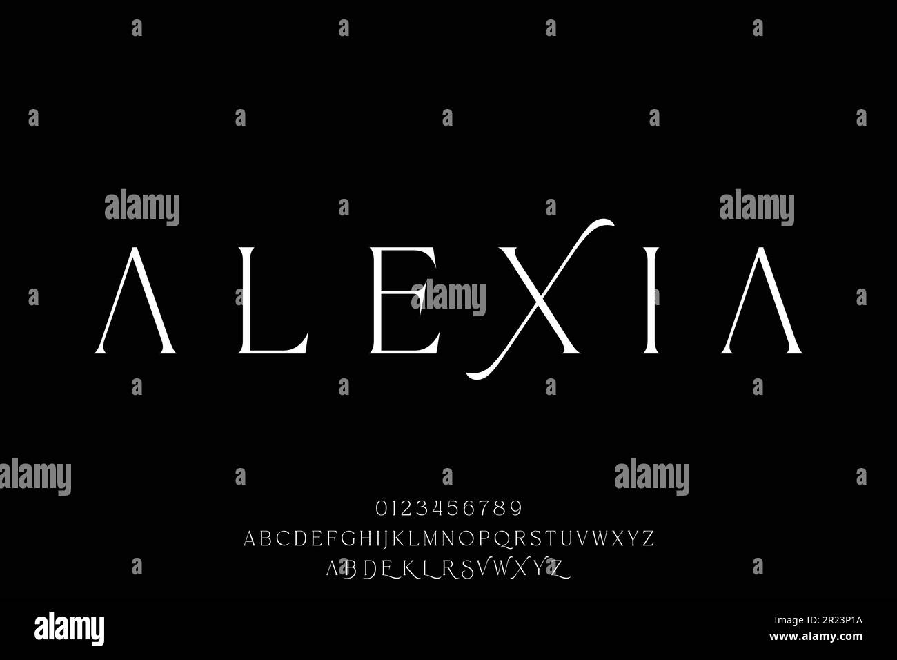 Elegant luxury minimalist serif display font vector with stylistic ...