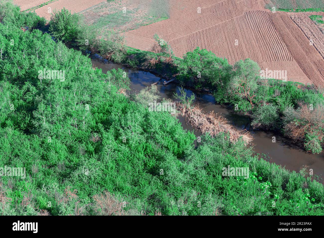 Riverside green trees view from above . Aerial scenery of spring nature ...