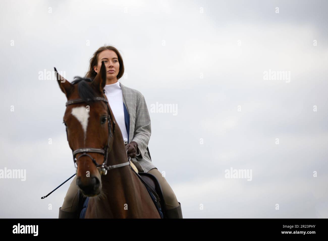 Beautiful young woman riding a horse on the field. Sideways to the ...