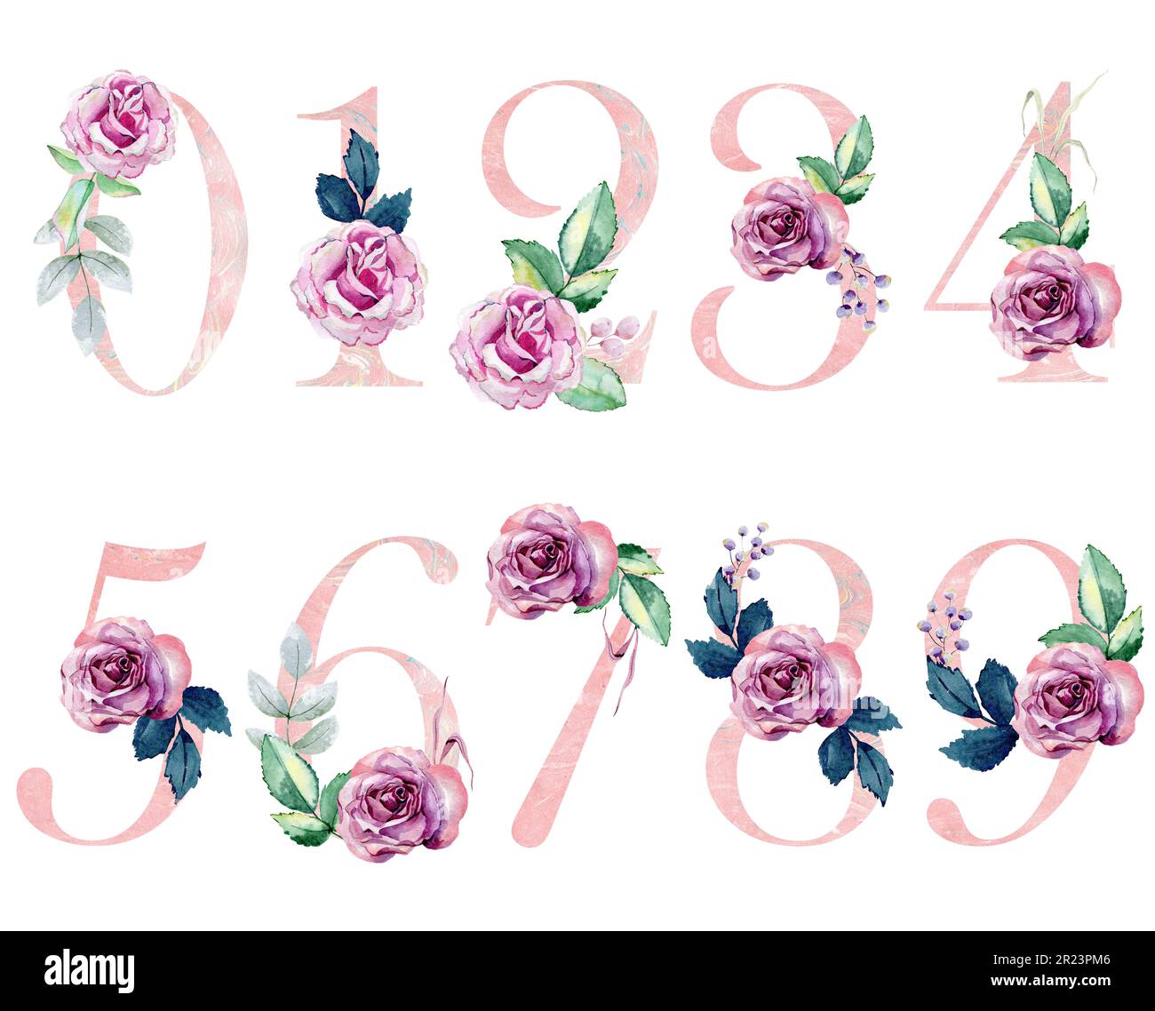 Watercolor floral numbers Stock Photo - Alamy