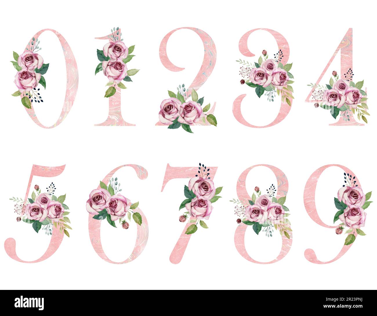 Watercolor floral numbers Stock Photo - Alamy