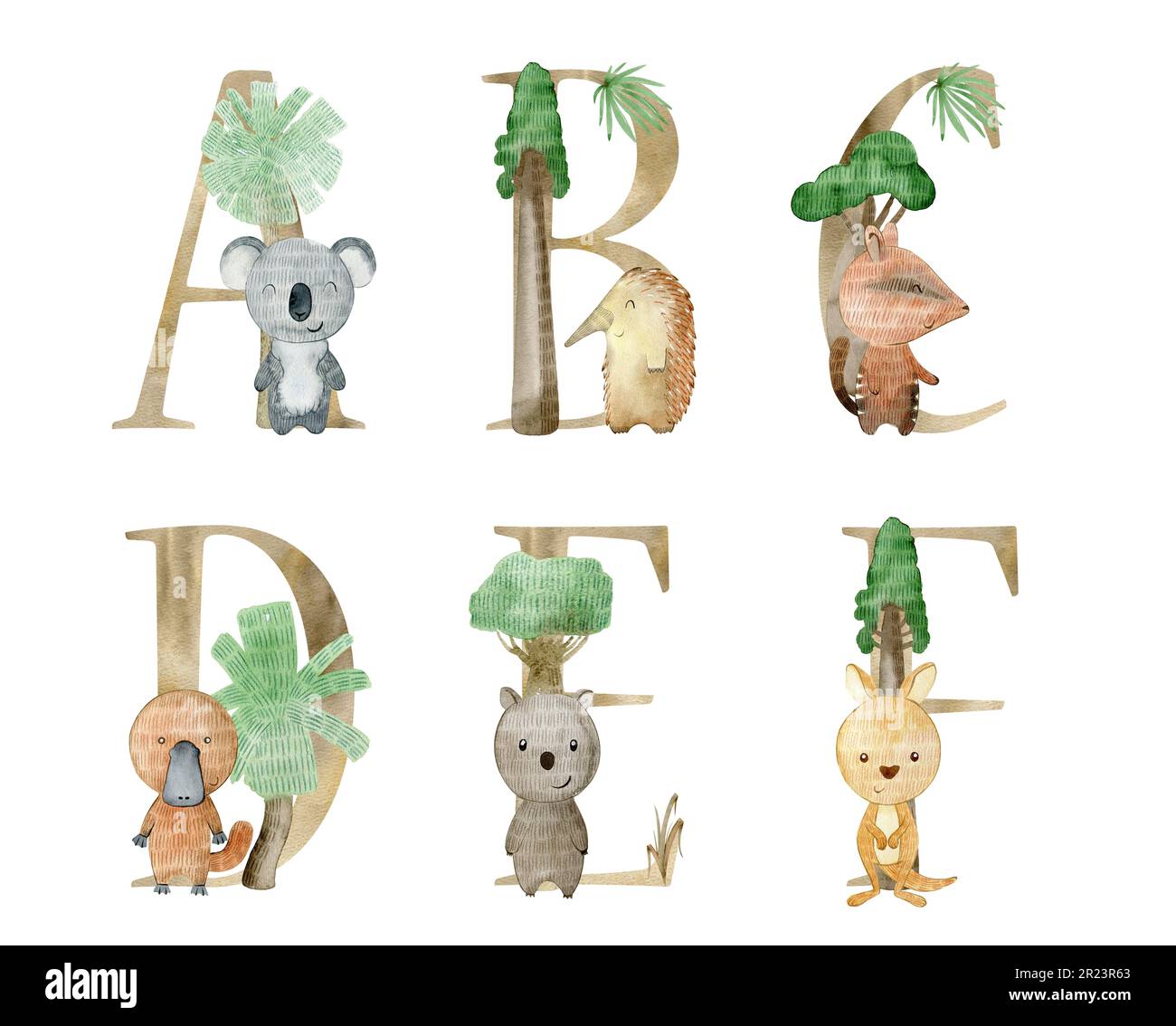 Watercolor australian animals Cut Out Stock Images & Pictures - Alamy