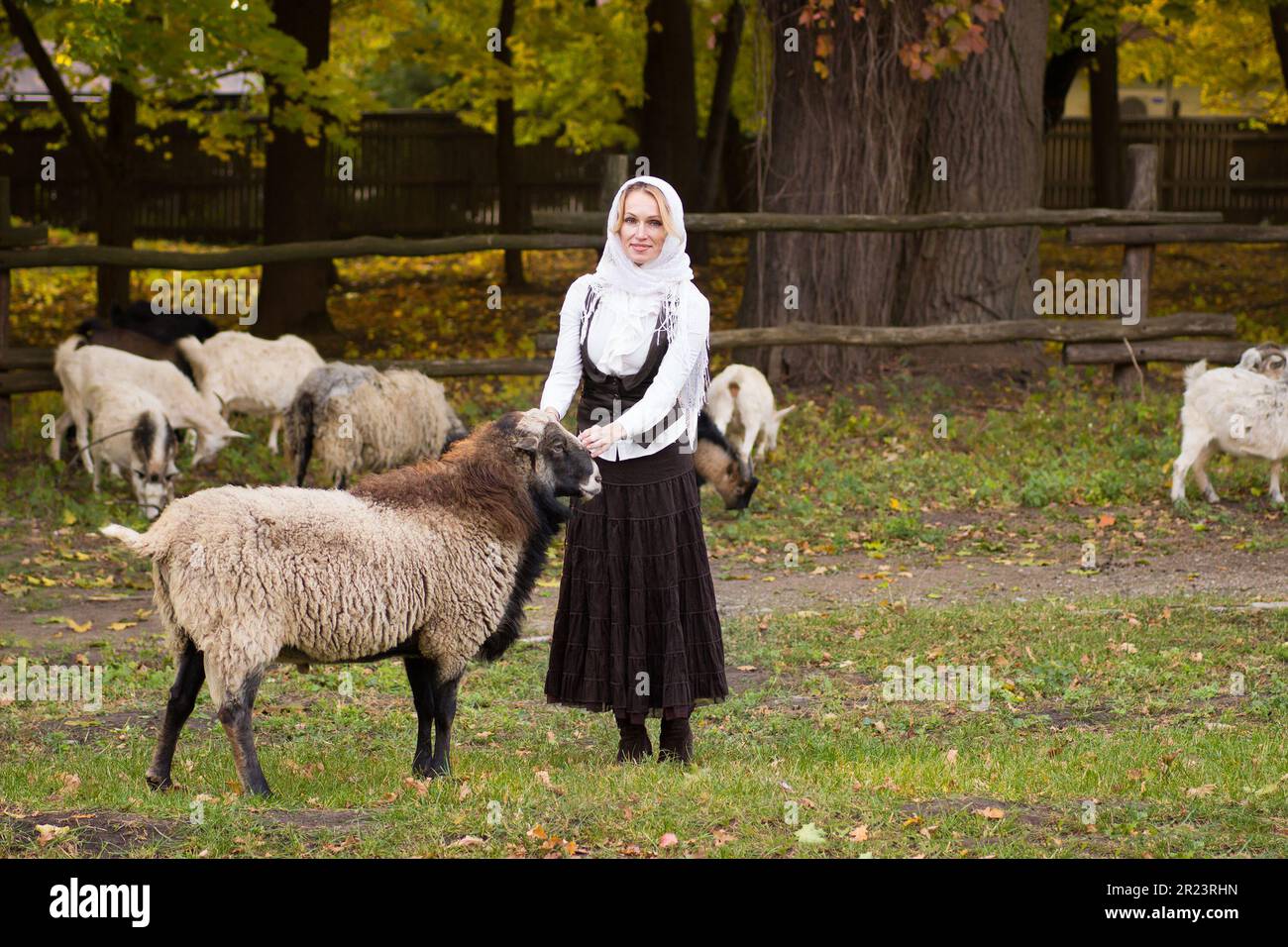 Corset tree hi-res stock photography and images - Alamy