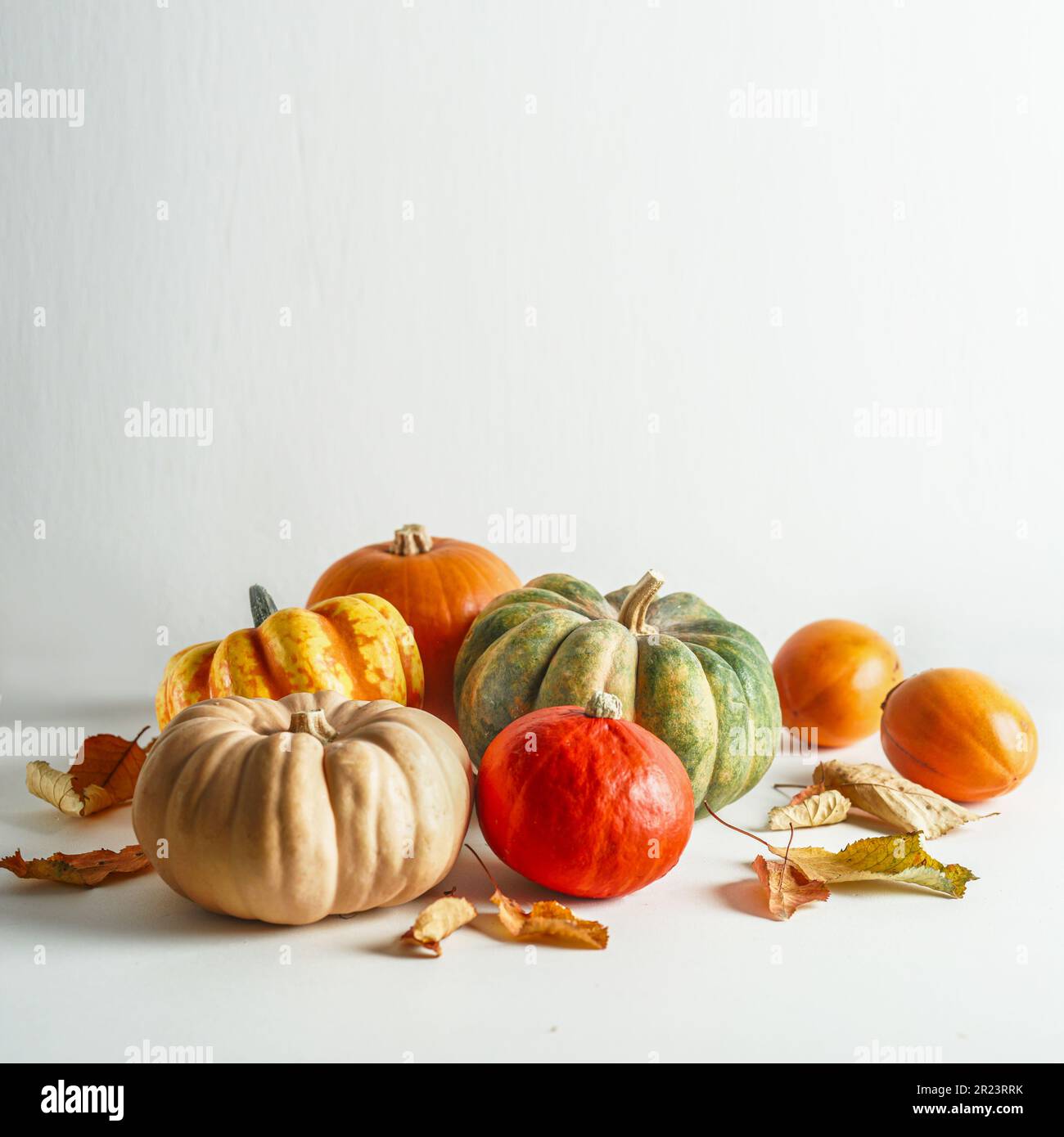 Various colorful pumpkins on white background with autumn leaves, front ...