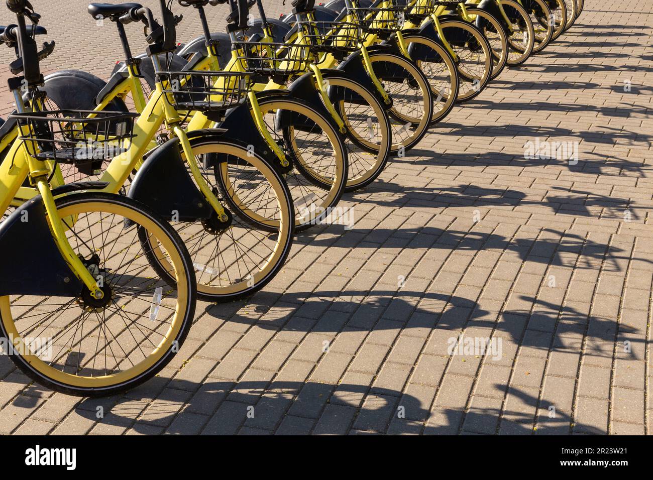 Bicycle rental service on city road parking with morning sunlight ...