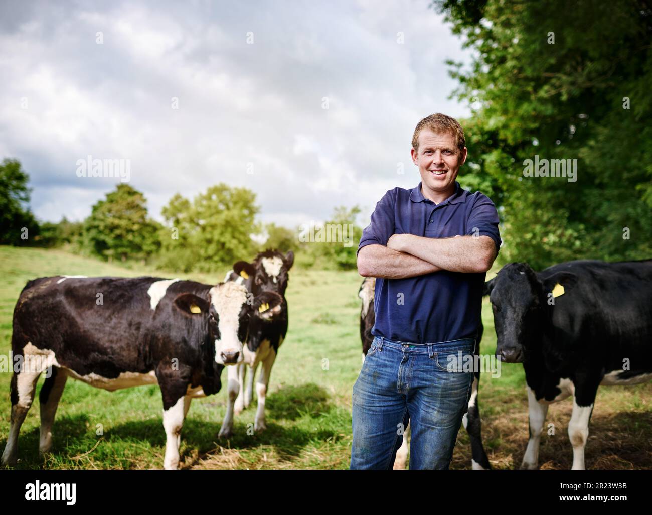 Portrait, agriculture and cows with a man on a dairy farm outdoor in ...