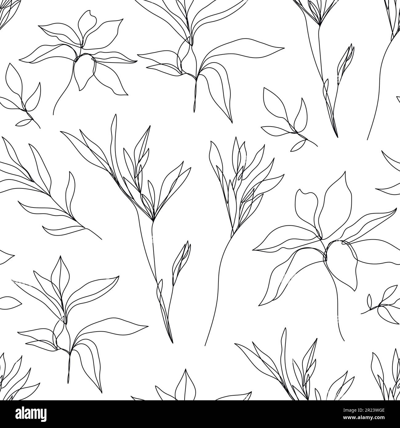 Vector floral linear seamless background, plants and leaves. One ...