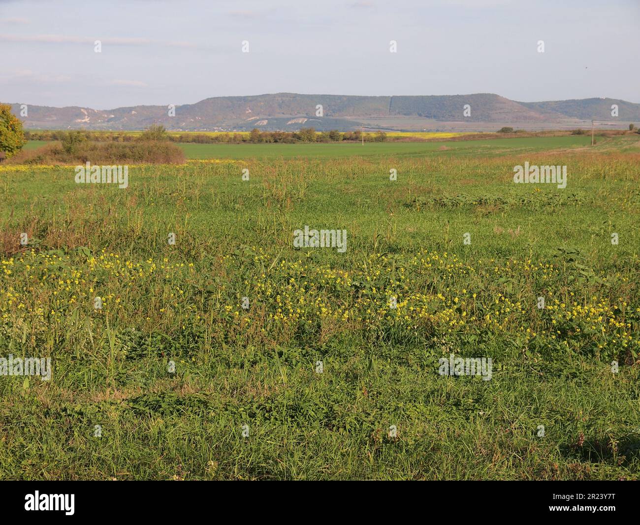 Kaspichan hi-res stock photography and images - Alamy