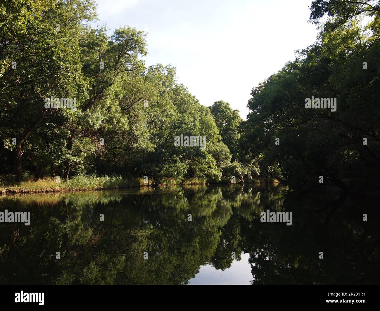 Ropotamo reserve hi-res stock photography and images - Alamy
