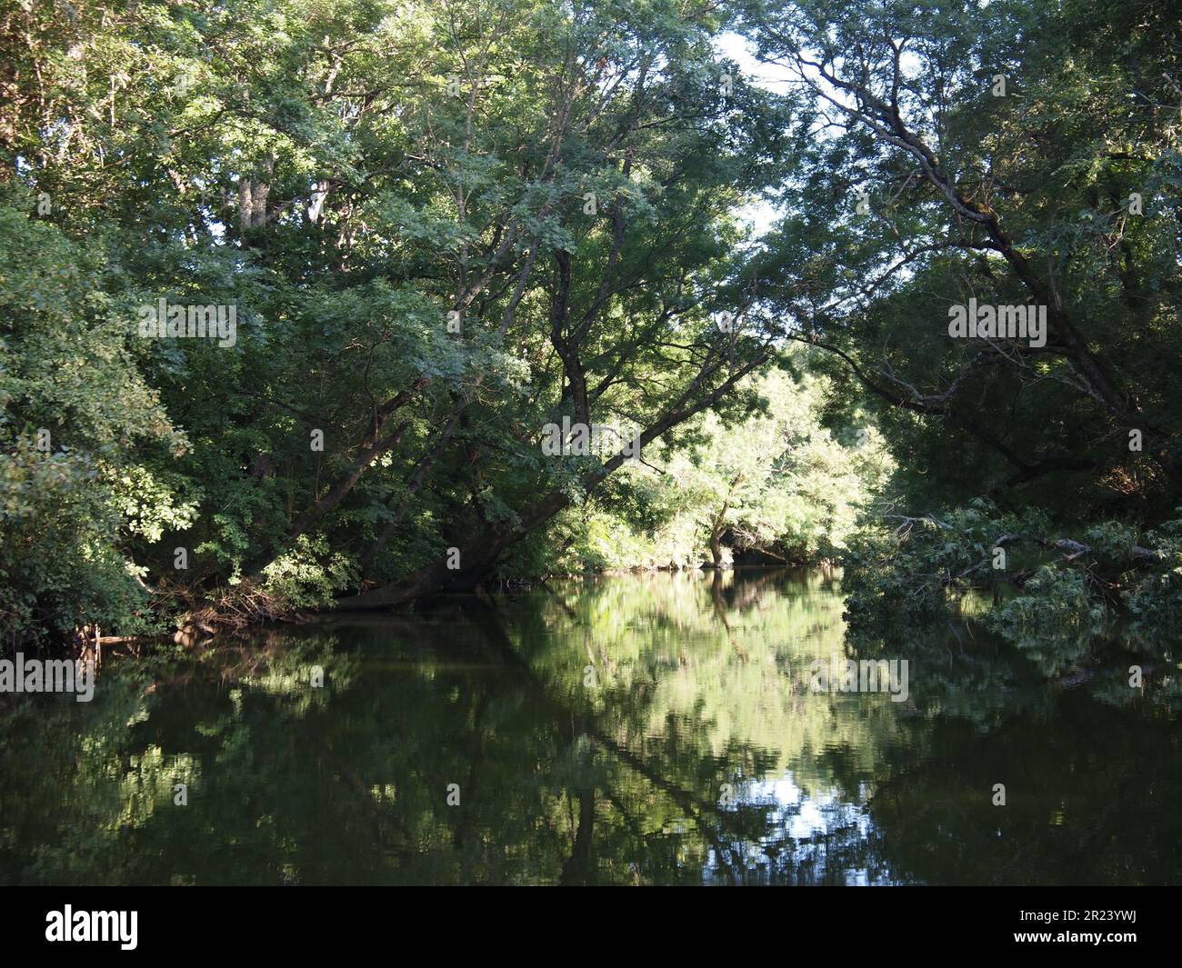 Ropotamo reserve hi-res stock photography and images - Alamy