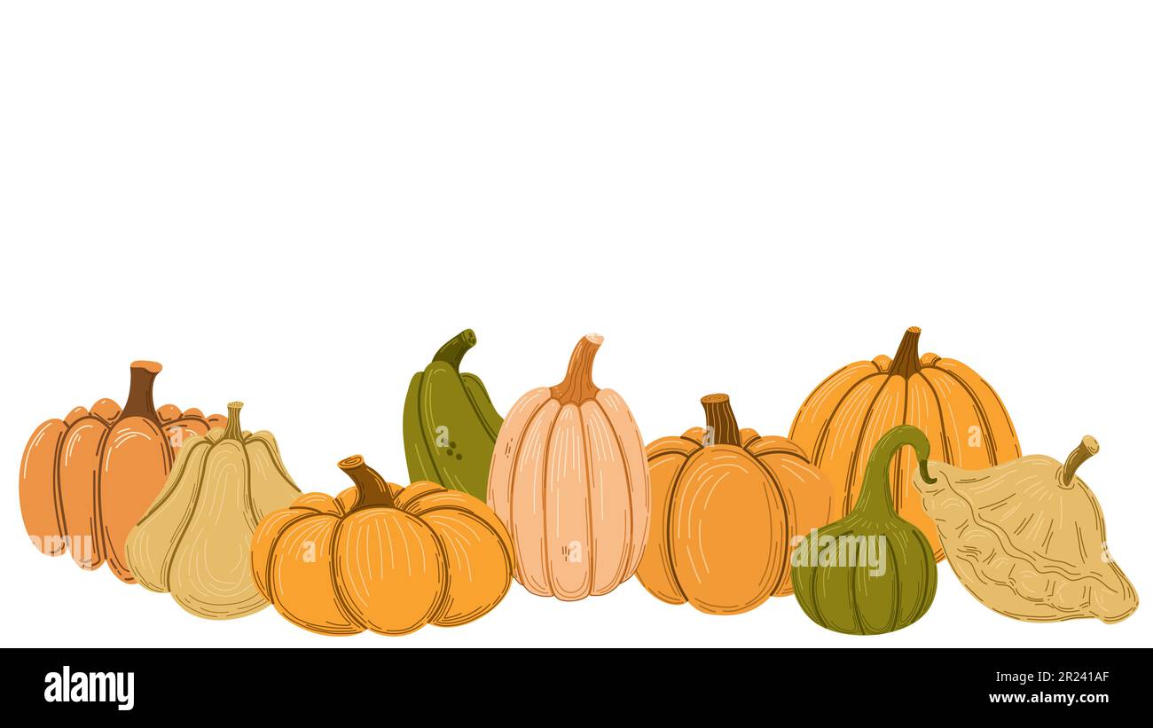 Pumpkins and squashes hand drawn vector illustration Stock Vector Image ...