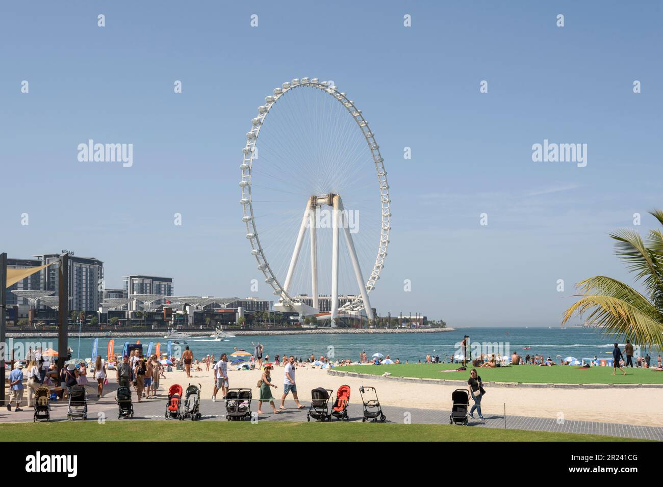 View of Ain Dubai ferris wheel from Dubai's Marina Beach. At 210m tall ...
