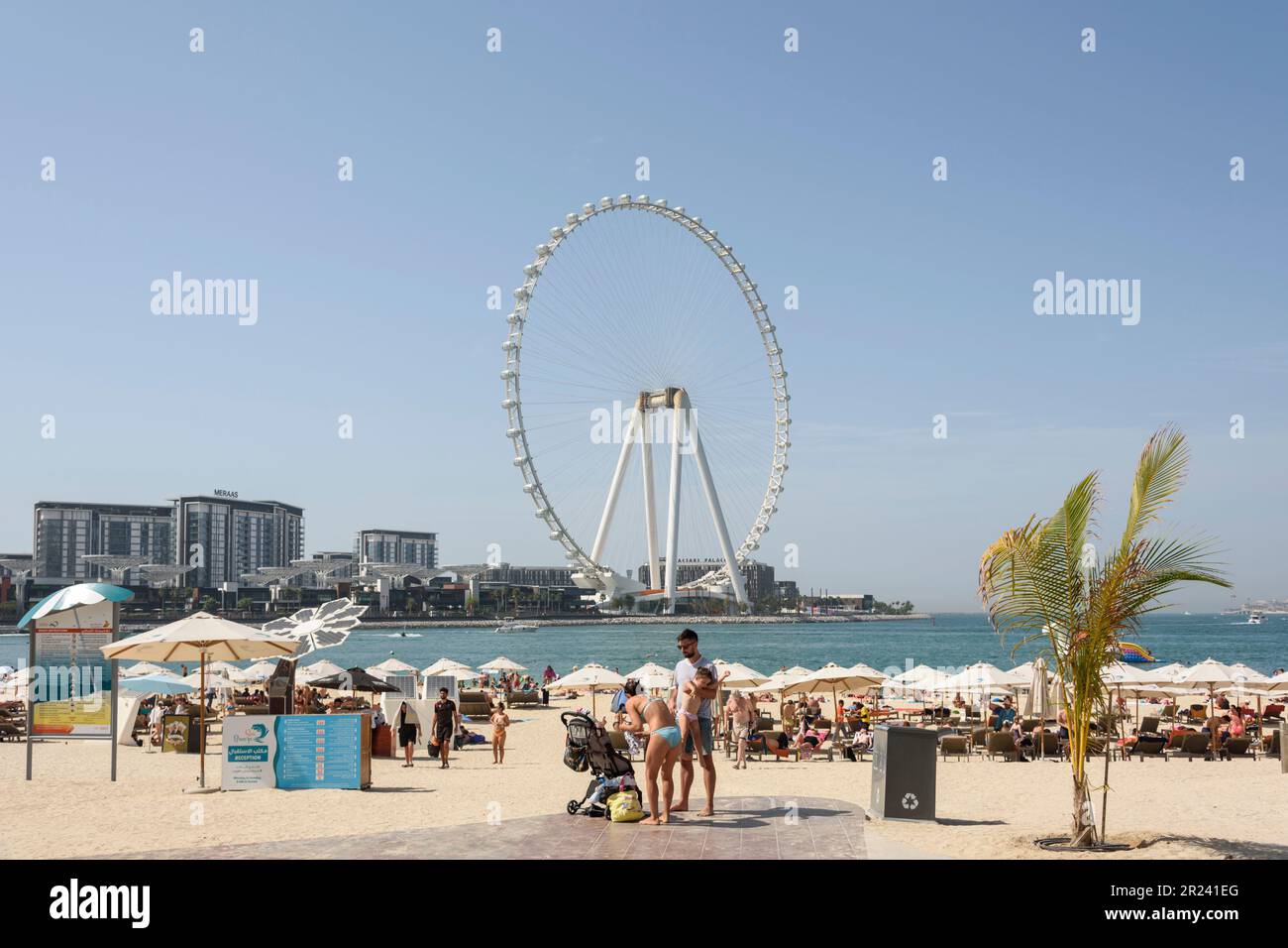 View of Ain Dubai ferris wheel from Dubai's Marina Beach. At 210m tall ...
