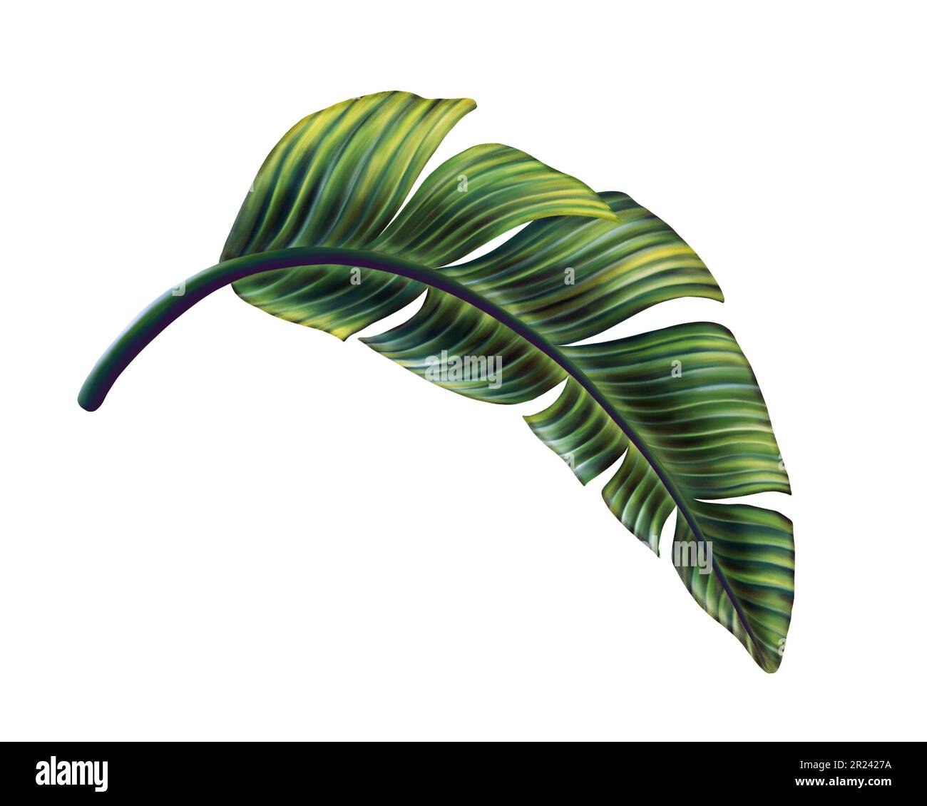 Jungle Leaves Clip Art Jungle Illustration Plant Leaves 35 Jungle