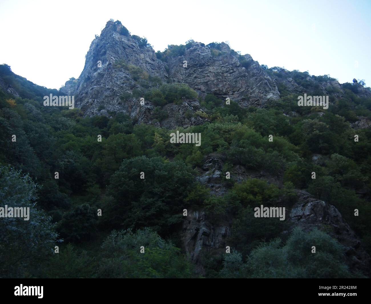 Rhodope narrow gauge train (Rhodope Mountains, Bulgaria Stock Photo - Alamy