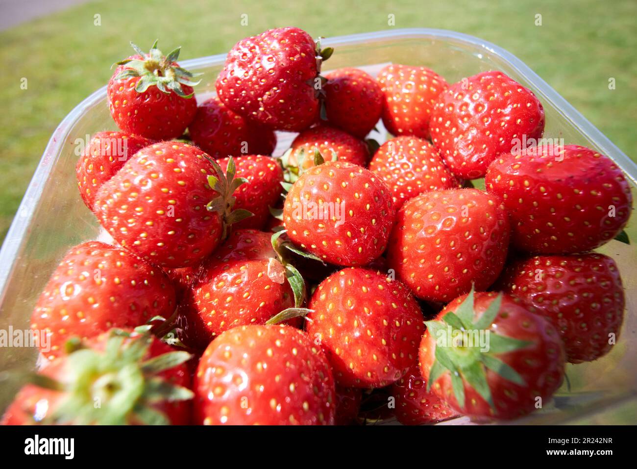 Soft summer fruit strawberries hi-res stock photography and images - Alamy